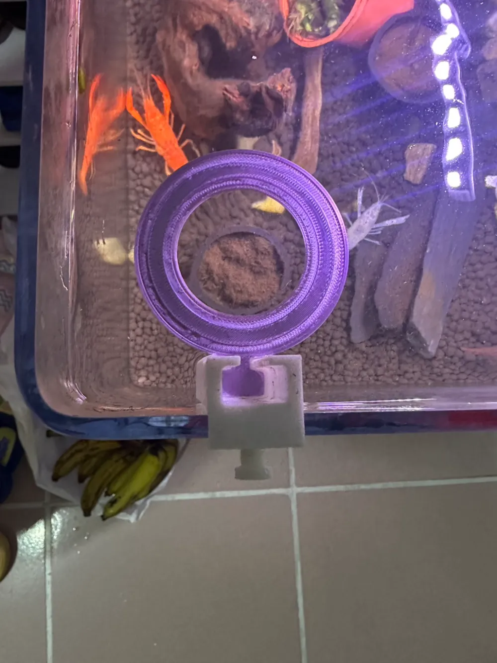 fish feeding float by 鄭中中 - MakerWorld