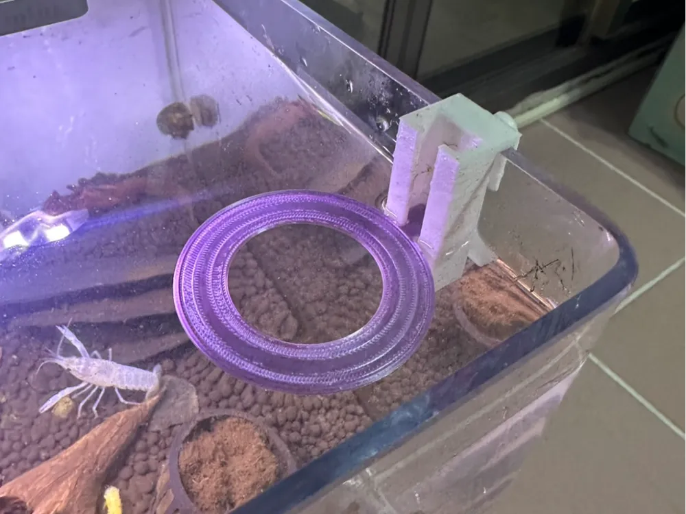 fish feeding float by 鄭中中 - MakerWorld