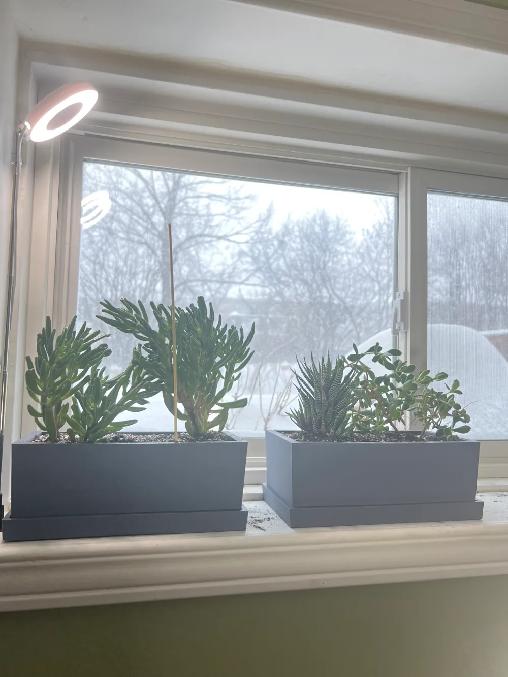 Wide Window Sill Planter with Hidden Divider - Free 3D Print Model ...