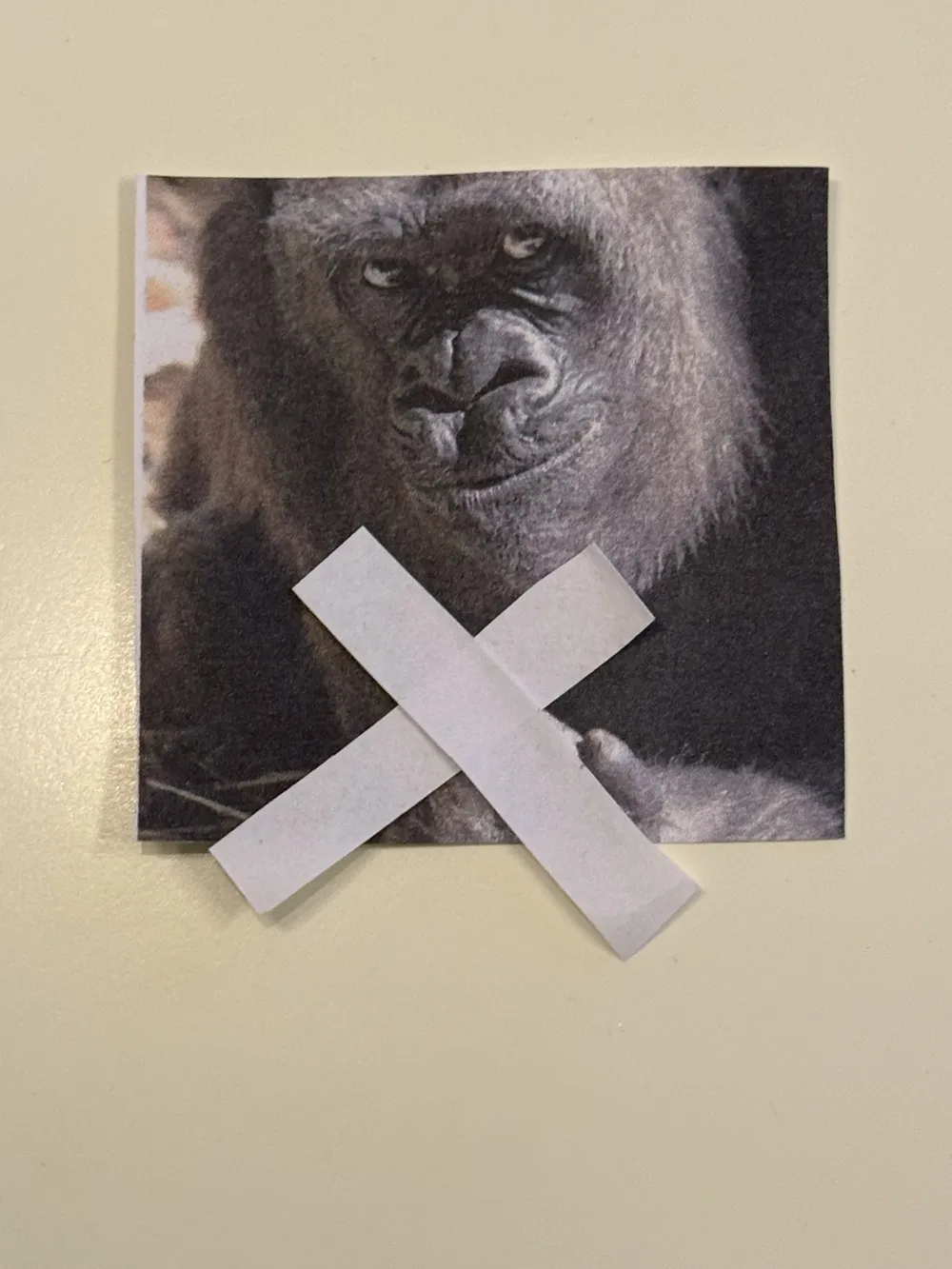 Free wifi QR code fake funny website monkey finger - Free 3D Print ...