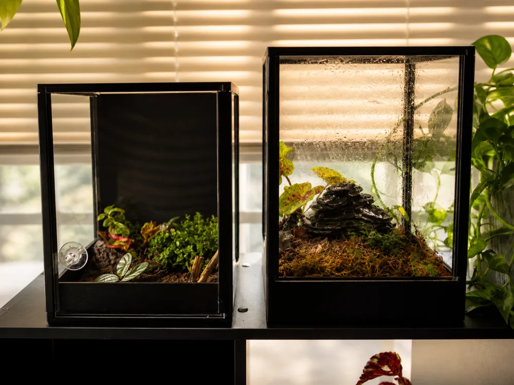 Ikea Kallax Terrarium – Kostenloses 3D-Druckmodell – MakerWorld