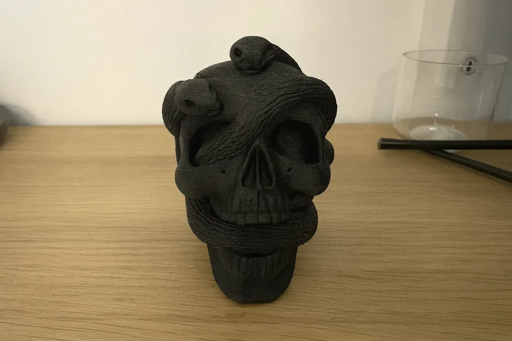 Skull Entwined by Two Snakes - Free 3D Print Model - MakerWorld