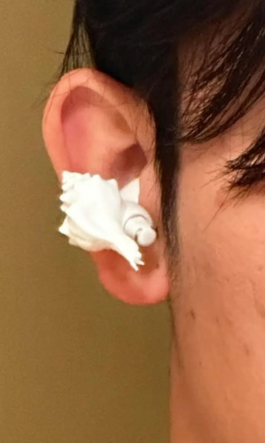 Seashell Airpods! (for airpod pro) by Situ Designs - MakerWorld