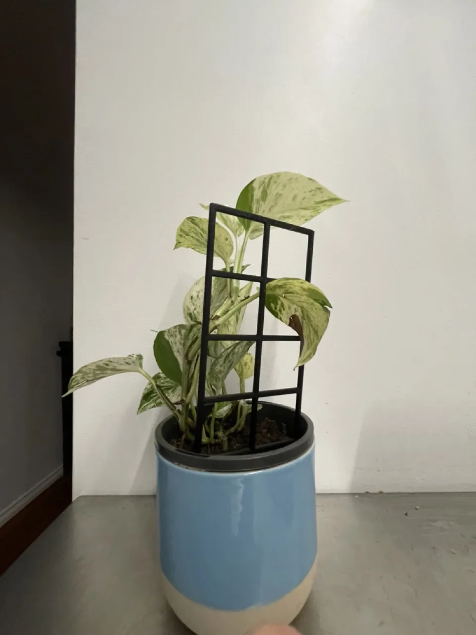 Simple Trellis - 9x Types Plant Climbing Frame - Free 3D Print Model ...