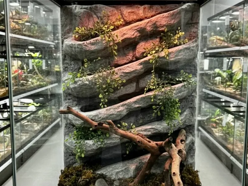 Planter Background (Stone) - Free 3D Print Model - MakerWorld