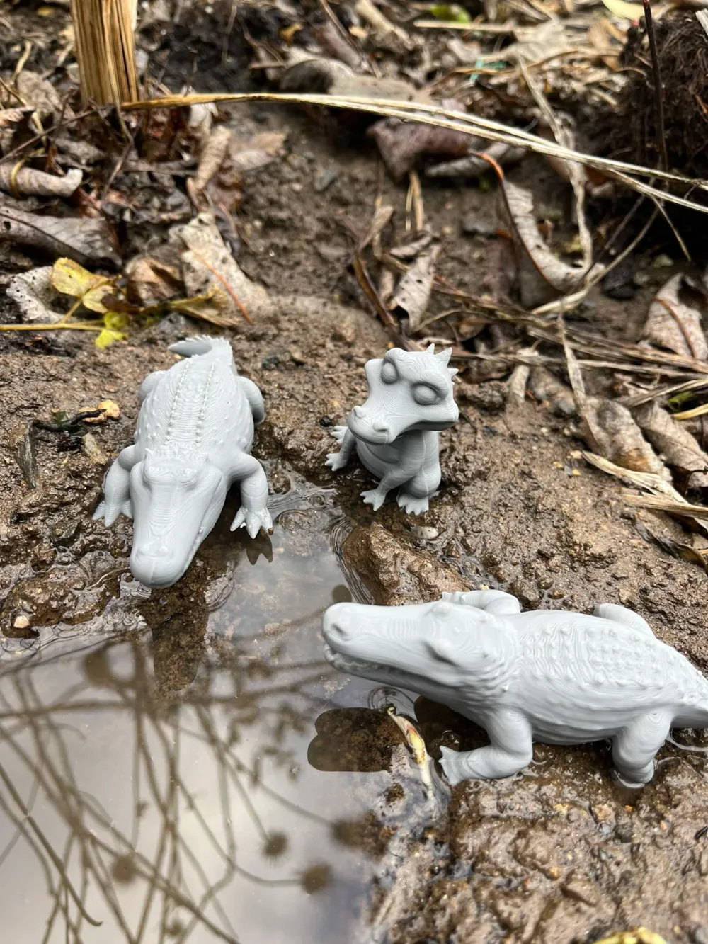 African alligator by Ainon3Dprint - MakerWorld