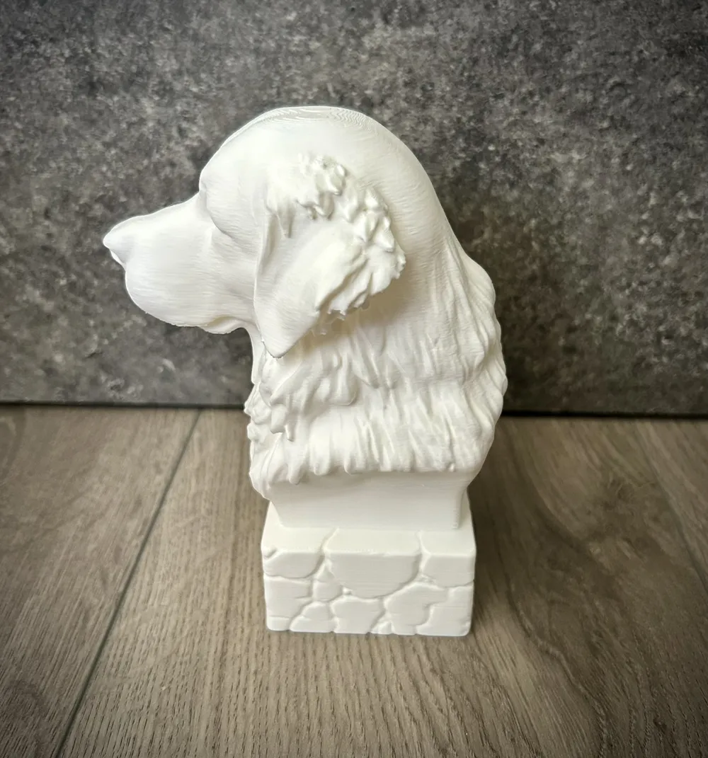 Realistic Golden Retriever Bust Dog by WholeAnimal MakerWorld: Download ...