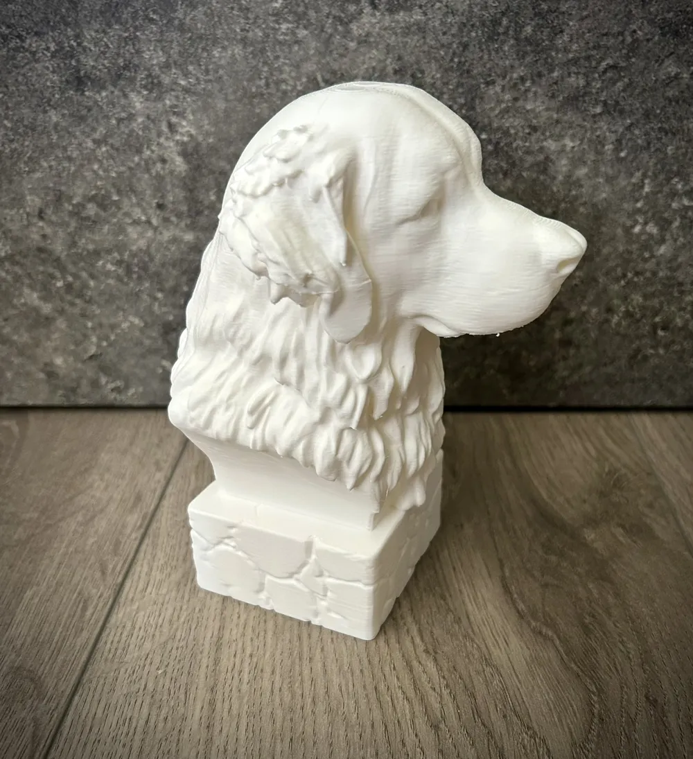 Realistic Golden Retriever Bust Dog by WholeAnimal MakerWorld: Download ...