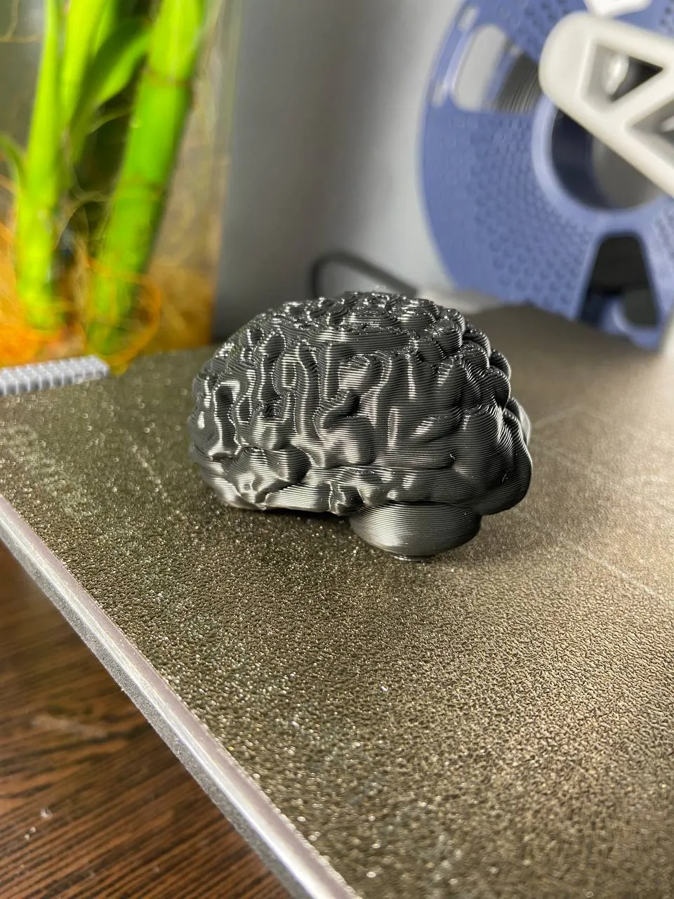 Human Brain by UnderHoodLab MakerWorld: Download Free 3D Models