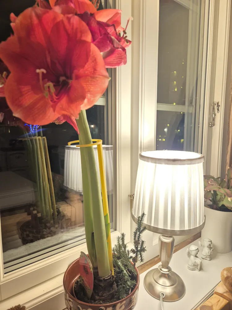 Modular Plant Stem Support System - Free 3D Print Model - MakerWorld