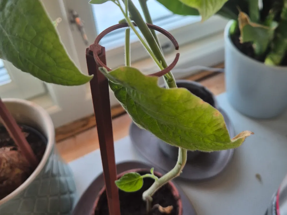 Modular Plant Stem Support System - Free 3D Print Model - MakerWorld