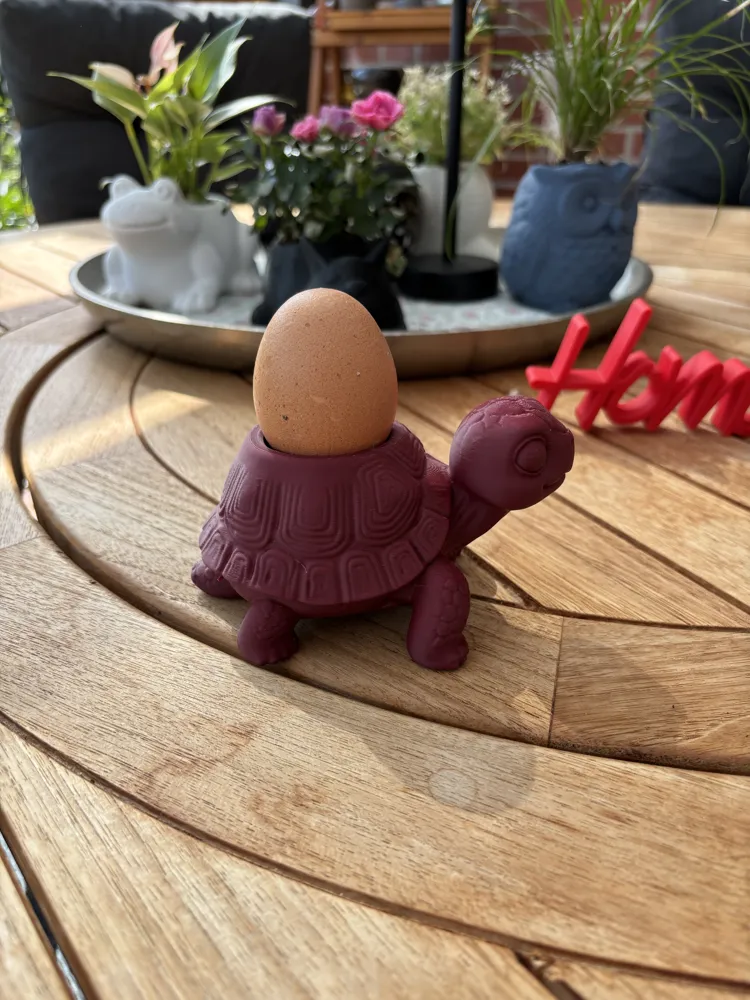 Coquetier Tortue Shelly - Déco Mignonne pour le Petit-Déjeuner - Modèle ...