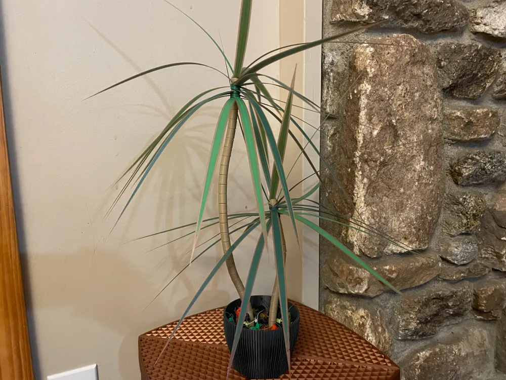 Artificial Dragon Tree Plant (Dracaena Marginita) by mwiller - MakerWorld