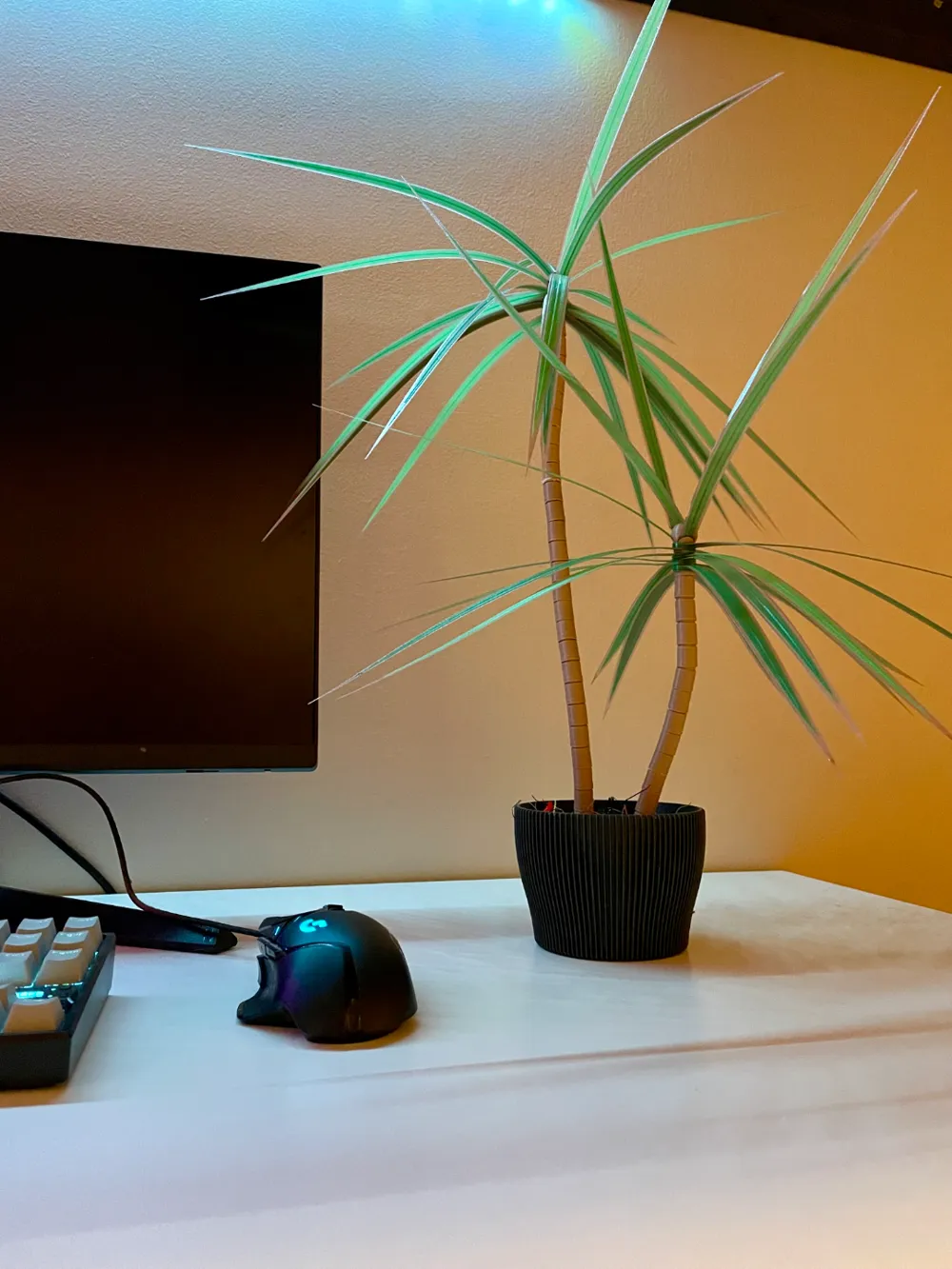 Artificial Dragon Tree Plant (Dracaena Marginita) by mwiller - MakerWorld