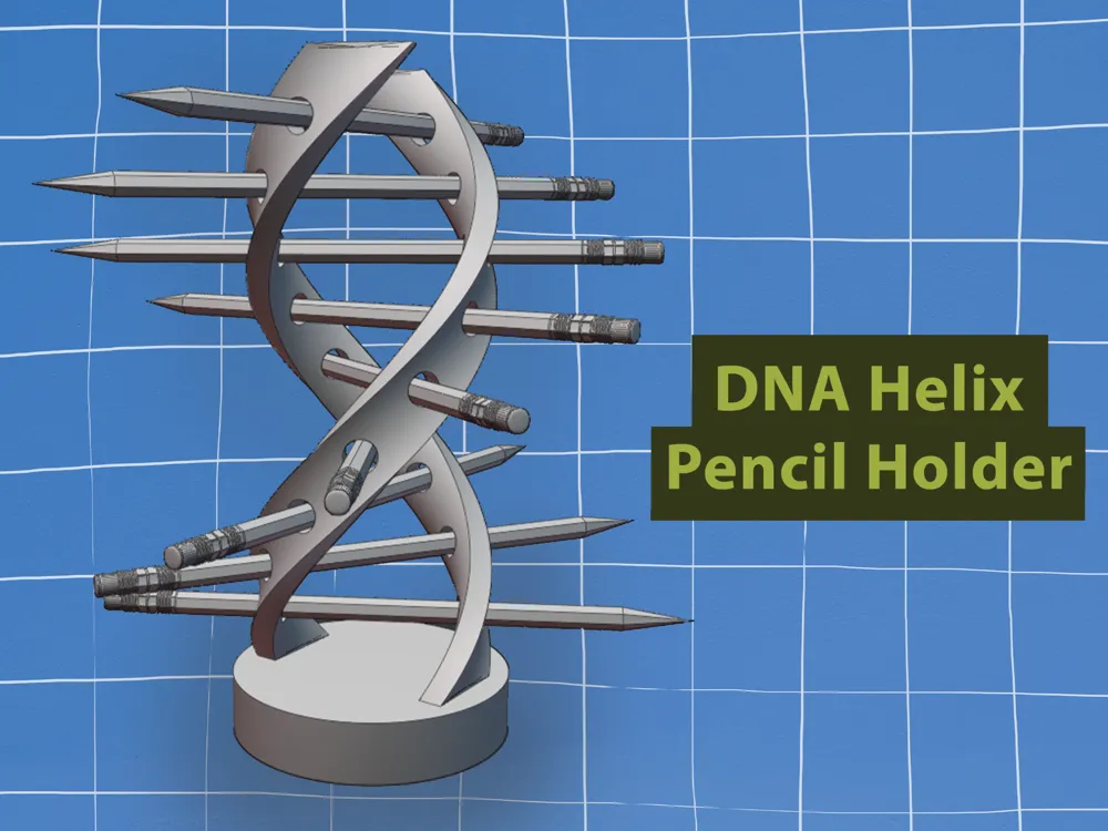 DNA Helix Pencil Holder by bardi - MakerWorld