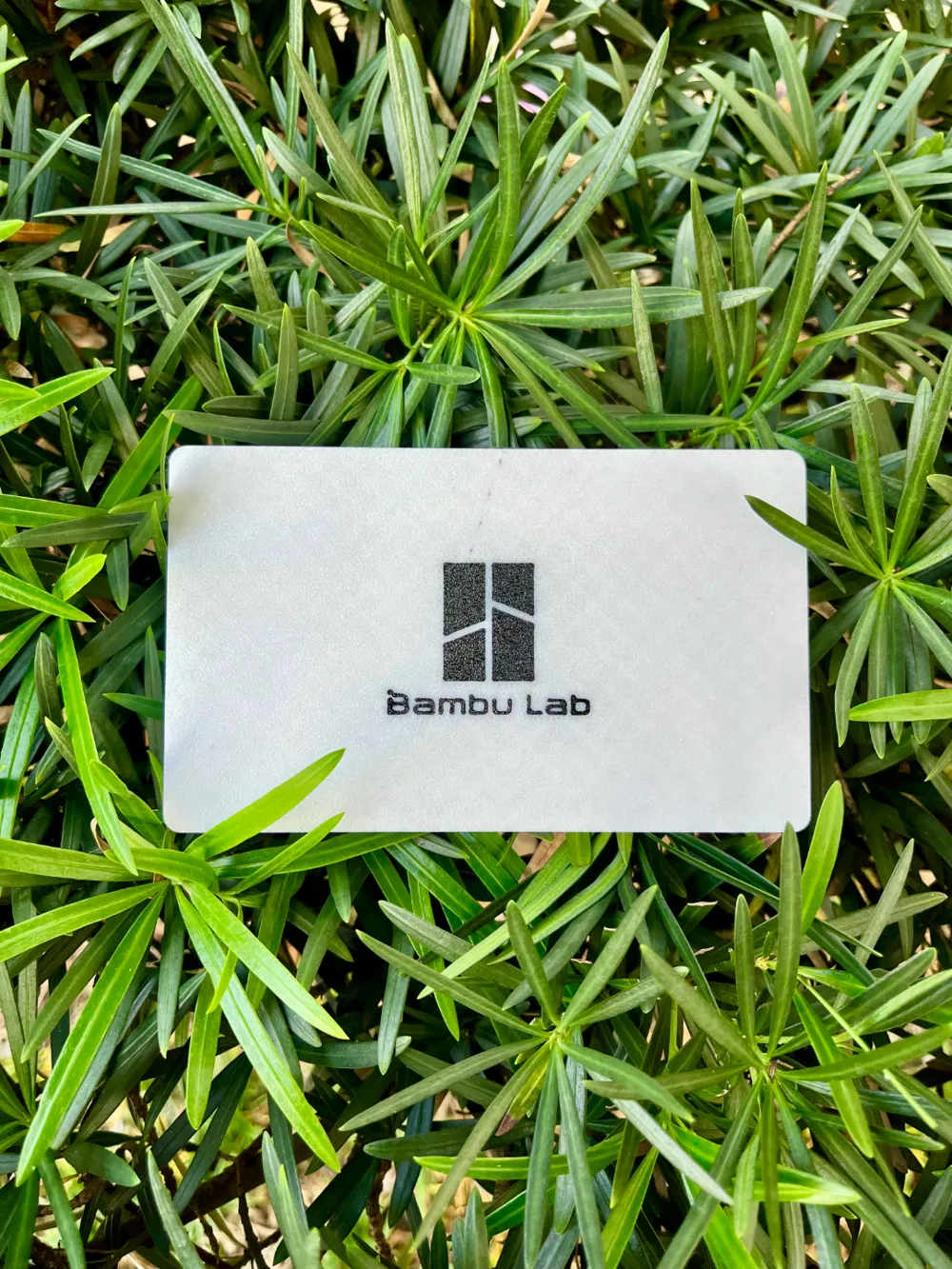 Bambu Lab A1/A1 mini Original Tool Box (No Supports, Magnetic, Simple ...