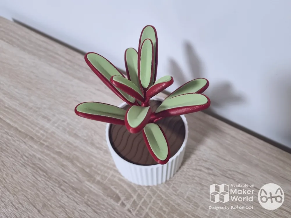 Succulents: Ruby Glow (Peperomia Graveolens) by BotaniCat MakerWorld ...