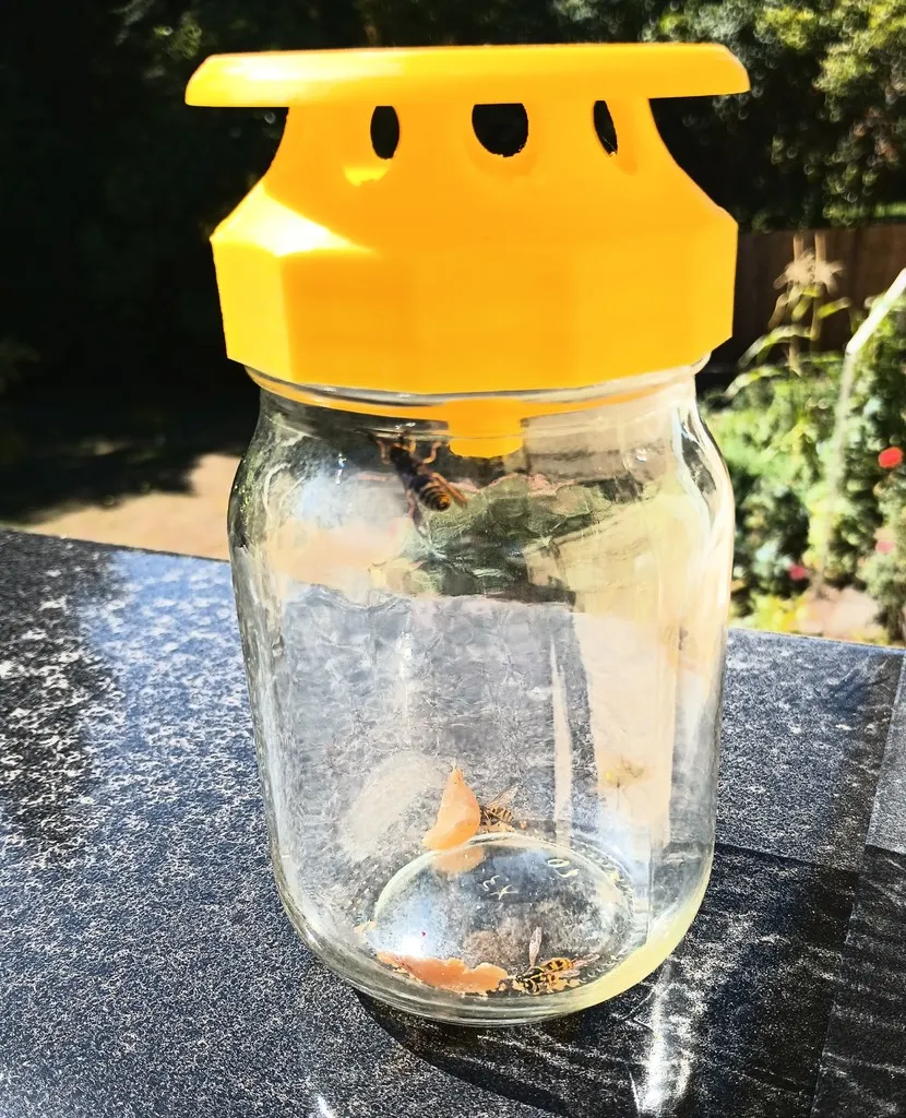wasp trap for regular mouth canning jar by Mxnic - MakerWorld