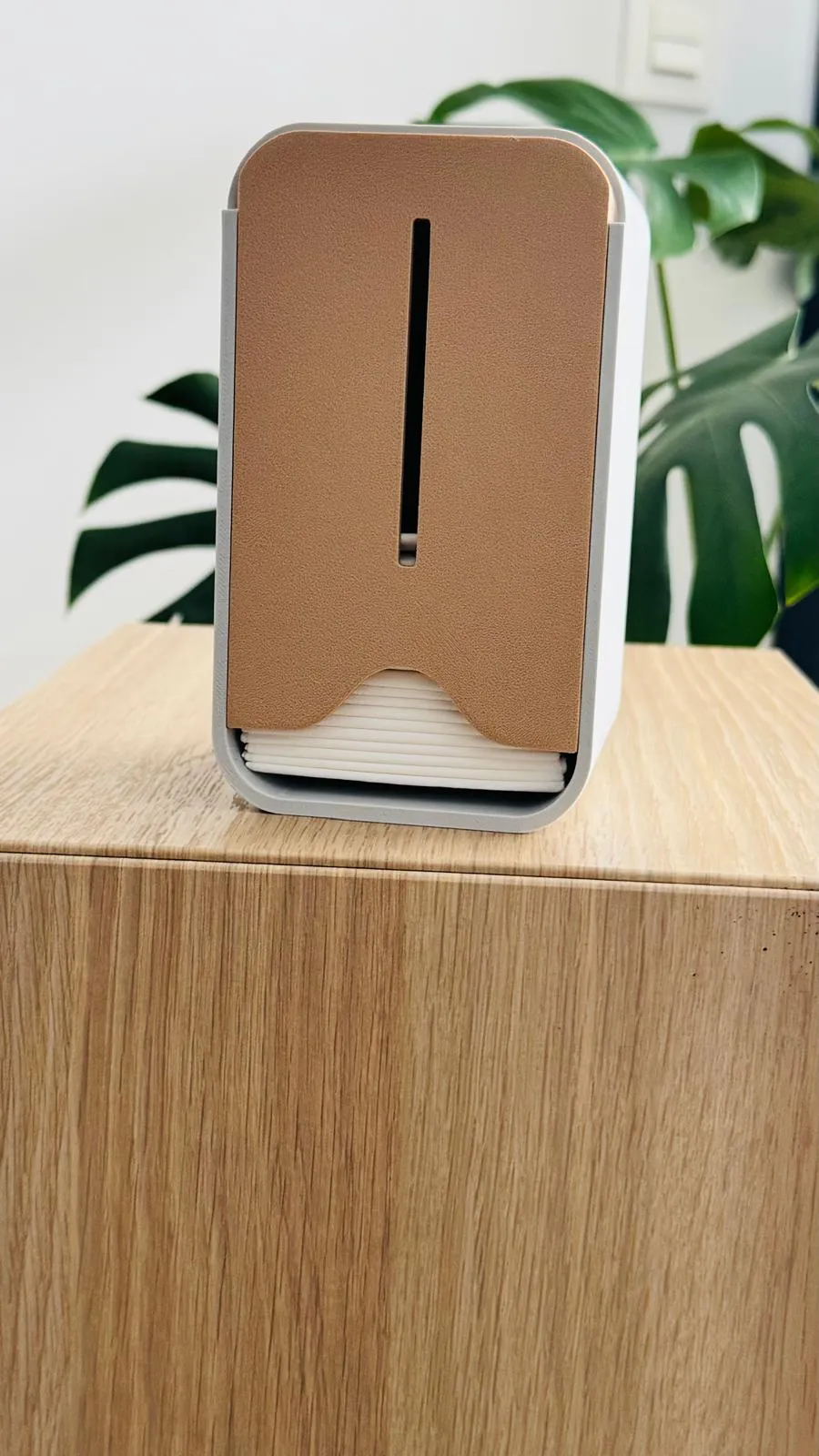 Dispenser Minimalista per Tè & Fazzoletti (Senza Supporti) - Modello di ...