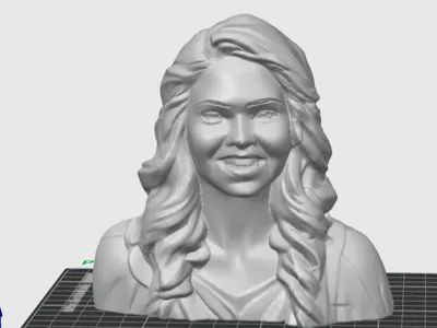 Male human portrait by user_1450728541 - MakerWorld