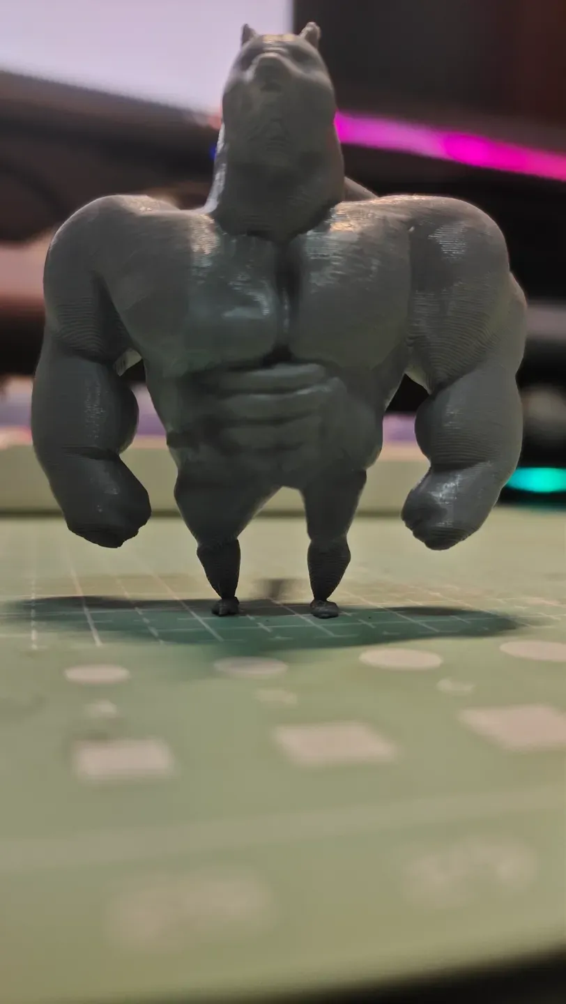 Muscular Cheems by user_155137211 - MakerWorld