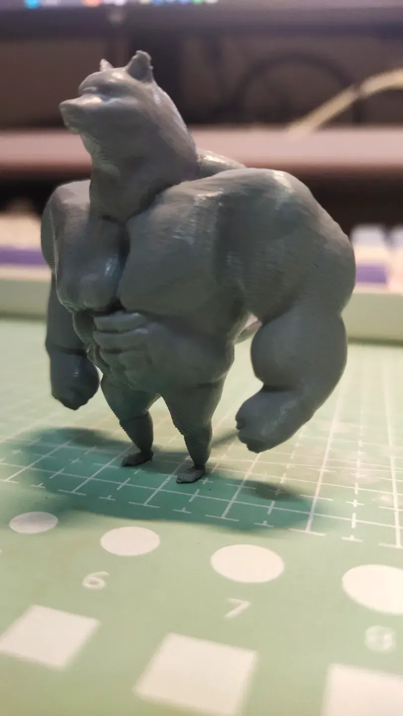 Muscular Cheems by user_155137211 - MakerWorld