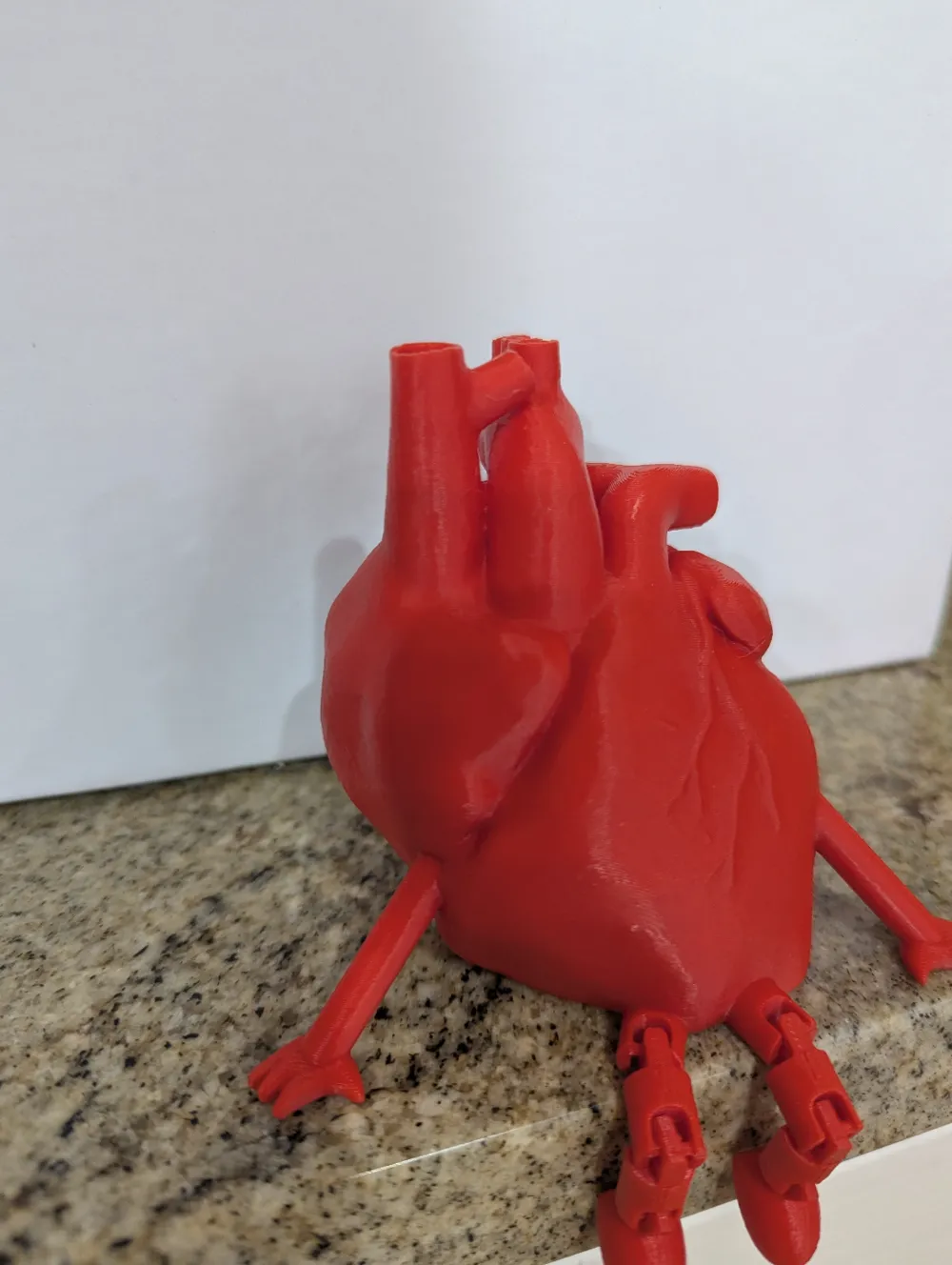 Anatomically Correct Heart Buddy Remixed by soarinsen - MakerWorld