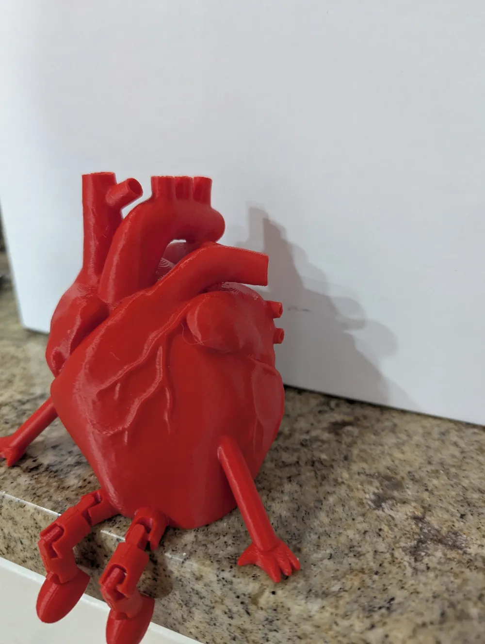 Anatomically Correct Heart Buddy Remixed by soarinsen - MakerWorld