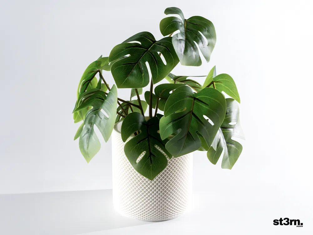 Mesh ⬝ Planter by St3rn Design MakerWorld: Download Free 3D Models