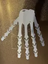 Articulated Skeleton Hand(Print in place) by 3D URSA MakerWorld ...