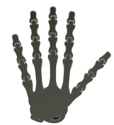 Articulated Skeleton Hand(Print in place) by 3D URSA MakerWorld ...
