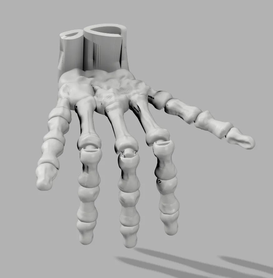 Articulated Skeleton Hand(Print in place) by 3D URSA MakerWorld ...