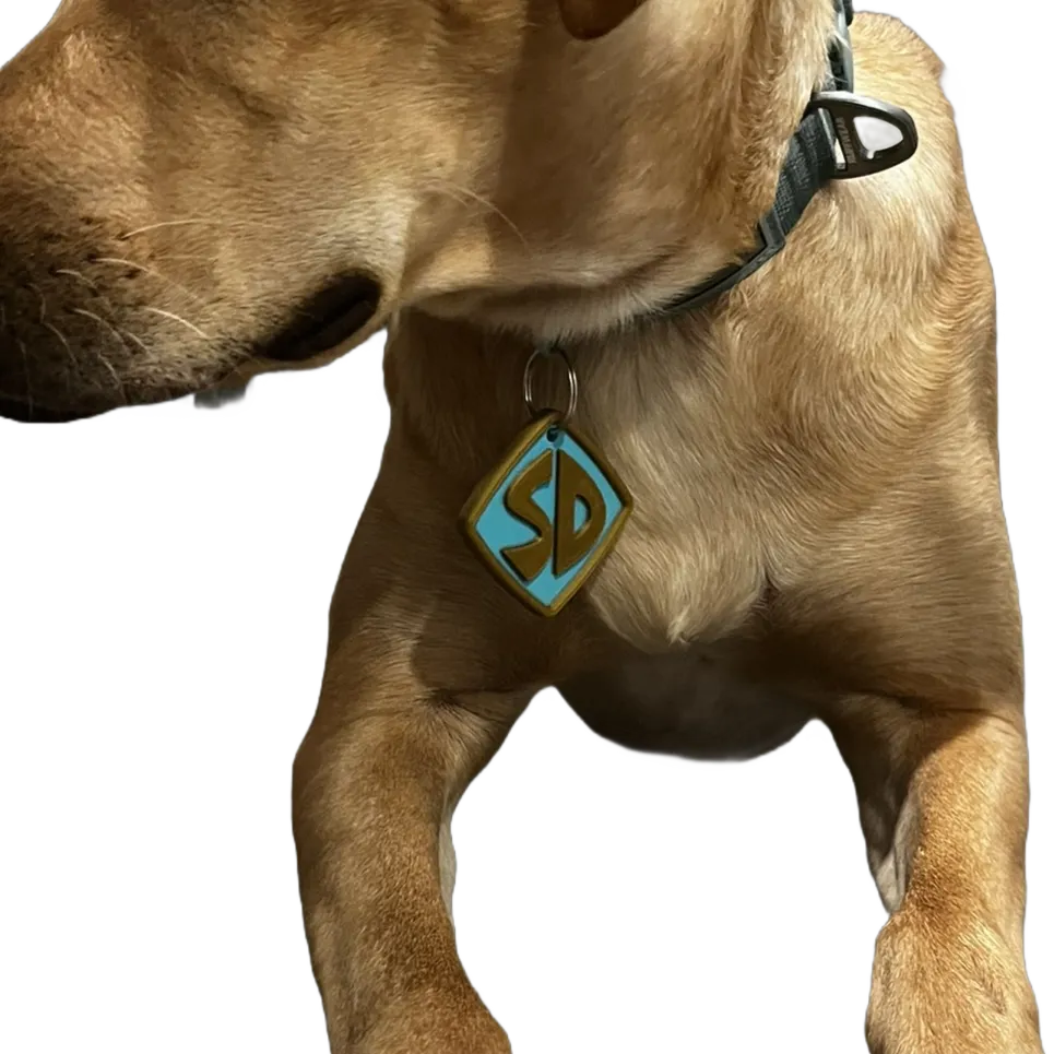 Scooby Doo Dog Tag (AMS) by Bun Central - MakerWorld