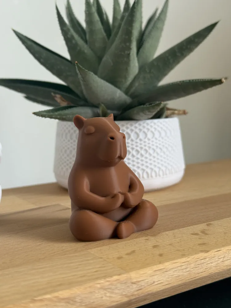 Capivara Meditando em Yoga – Posição de Lótus Zen por Boring Memories ...