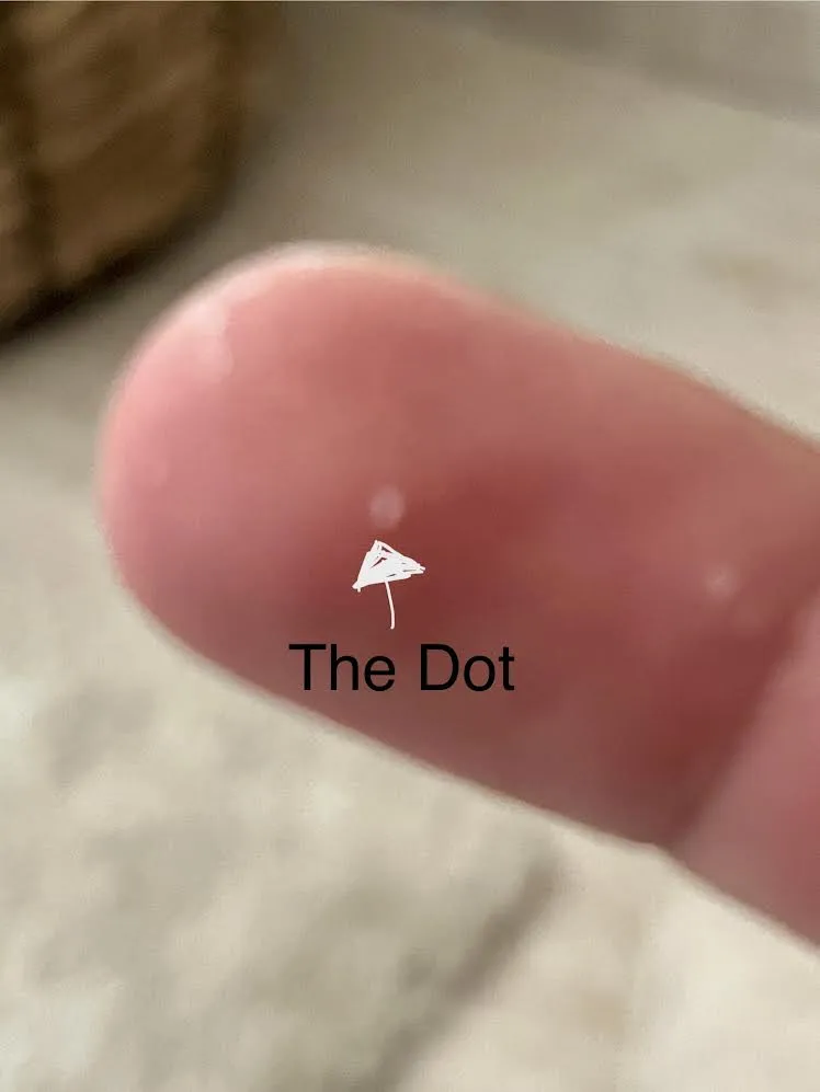 THE DOT- The smallest 3d print in the world by mpg-3dprints MakerWorld ...