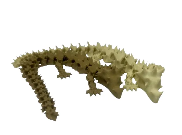 Spiky bone dragn FLEXI by Insectium3D - MakerWorld