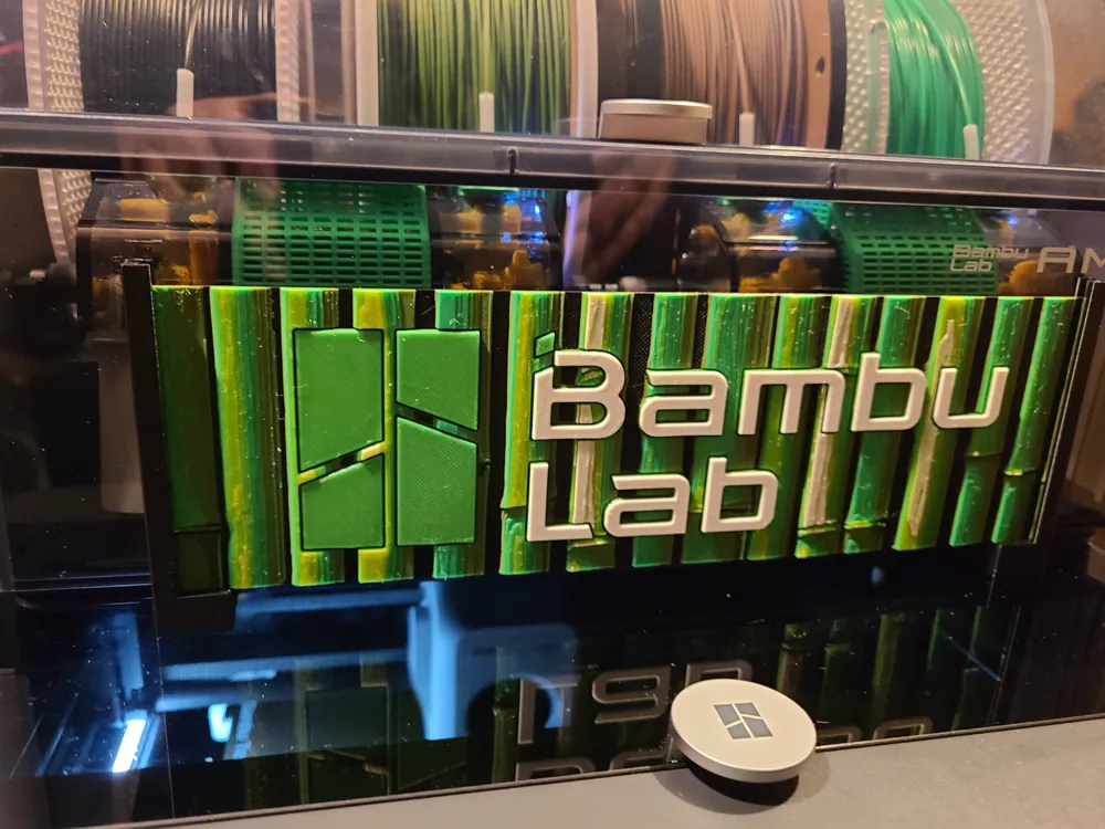 Bamboo Bambu Lab - Filament Painting by Bedlam Threadz - MakerWorld