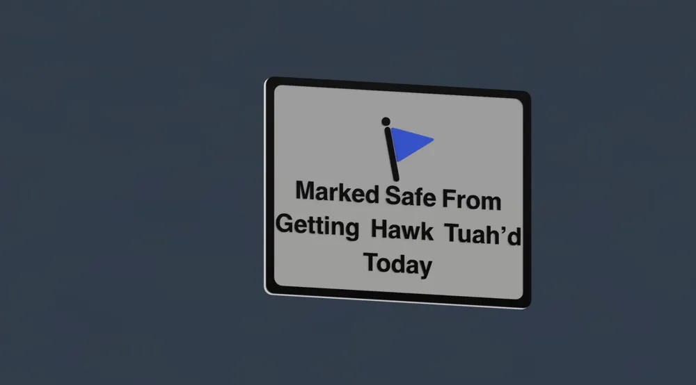 Marked safe from HAWK TUAH magnet by 3DealityDesigns24 - MakerWorld