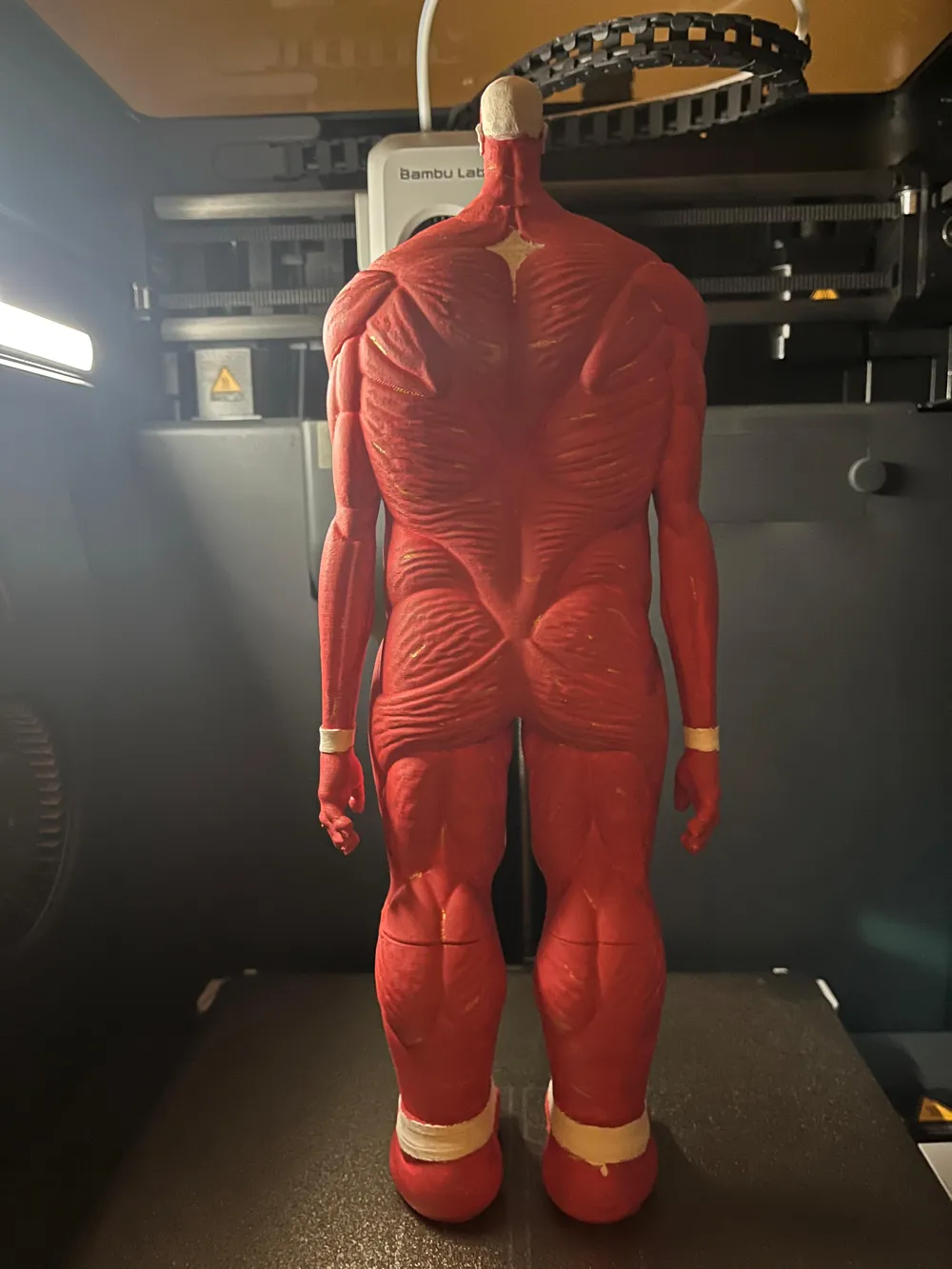 Attack On Titan Bertholdt - Free 3D Print Model - MakerWorld