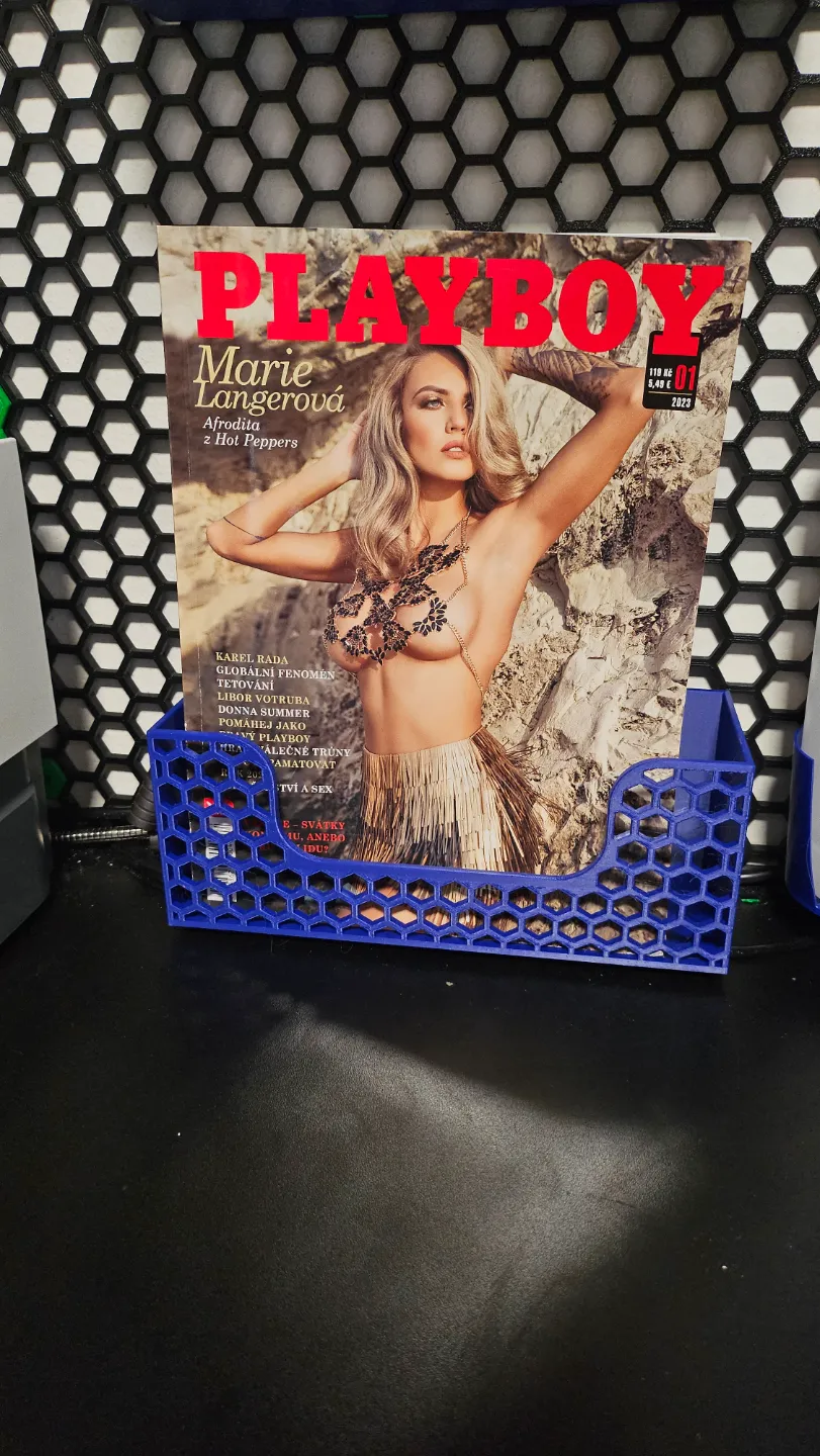 HSW - Journal/Magazine/Paper Holder by Rougou - MakerWorld