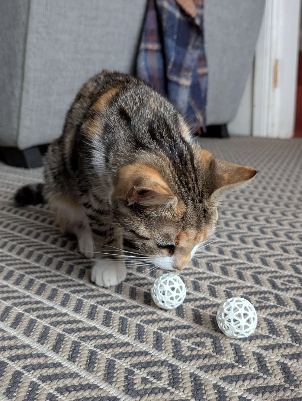 Ball Cat Toy - Print-In-Place V1 by imsleeping MakerWorld: Download ...