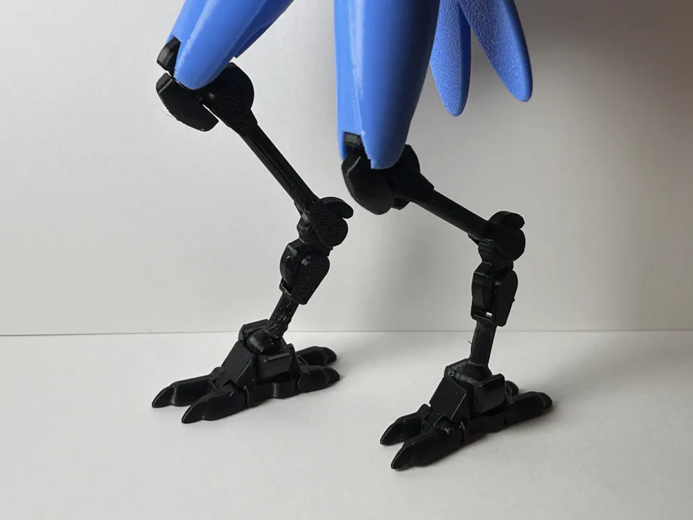 Dummy 13 Vogelbeine und Füße – Kostenloses 3D-Druckmodell – MakerWorld