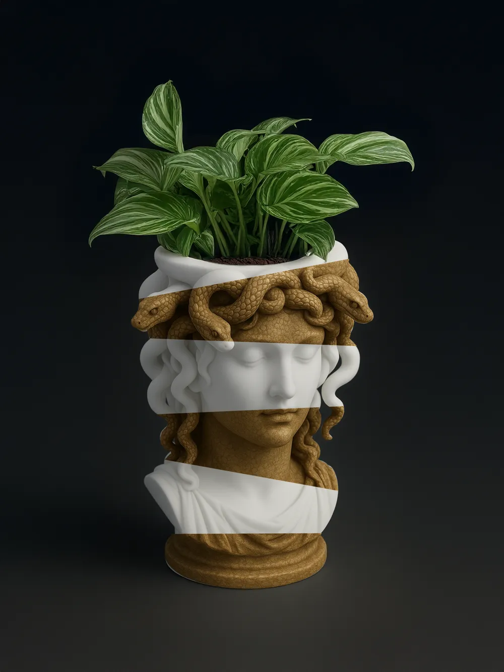 Medusa Planter – Serpentine Elegance by 3DMakerSpace MakerWorld ...