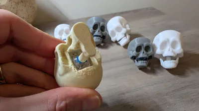 Skull Keychain Fidget Clicker -Fun Jaw Click Sound by Spandolage3D ...