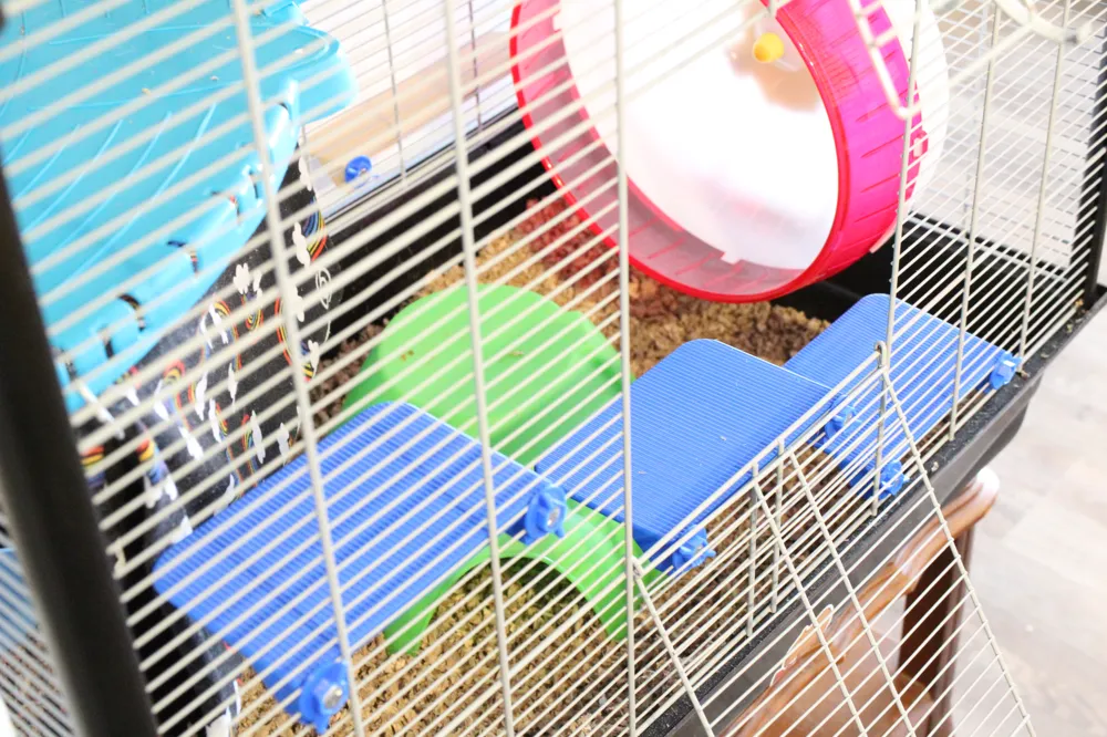 Cage platform for small animals by Makidev MakerWorld: Download Free 3D ...