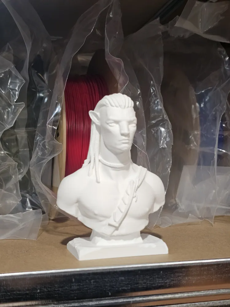 AVATAR FEU ET CENDRES - BUSTE DE JAKE SULLY par Simphony3D MakerWorld ...