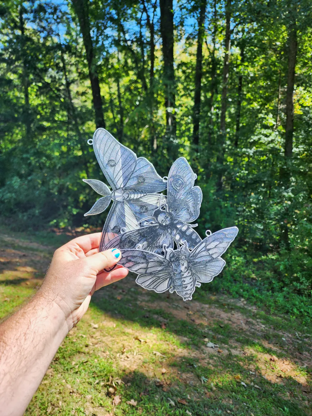 Insect Suncatchers/Faux Stained Glass, Easy Print by Cosmo Moore ...