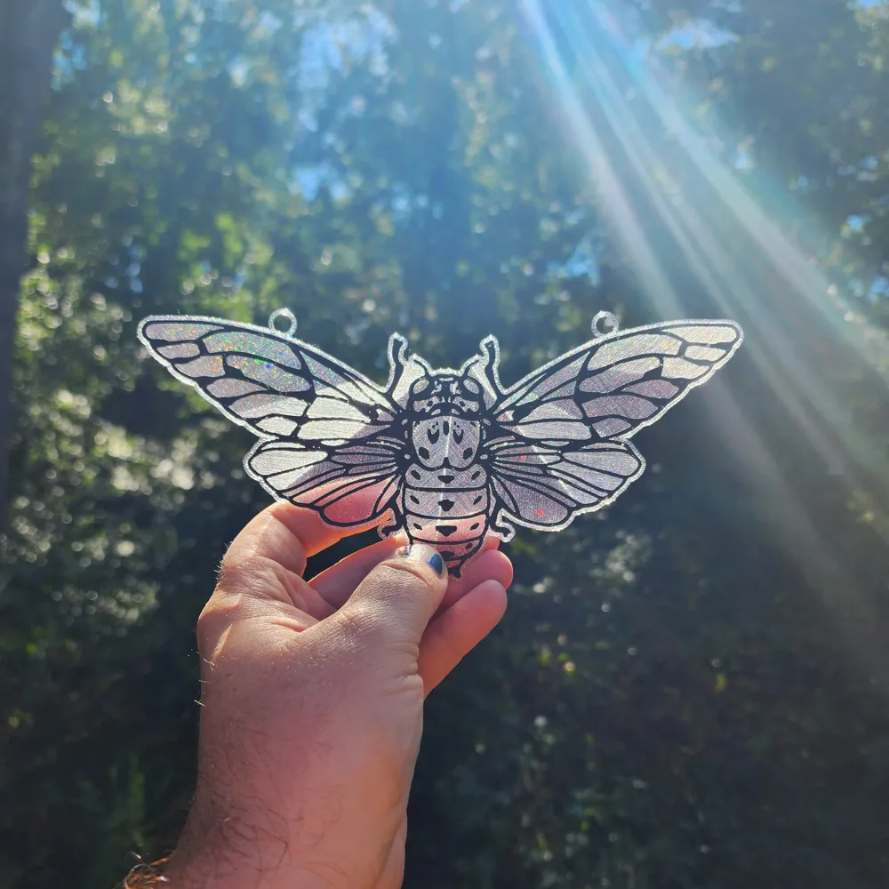 Insect Suncatchers/Faux Stained Glass, Easy Print by Cosmo Moore ...