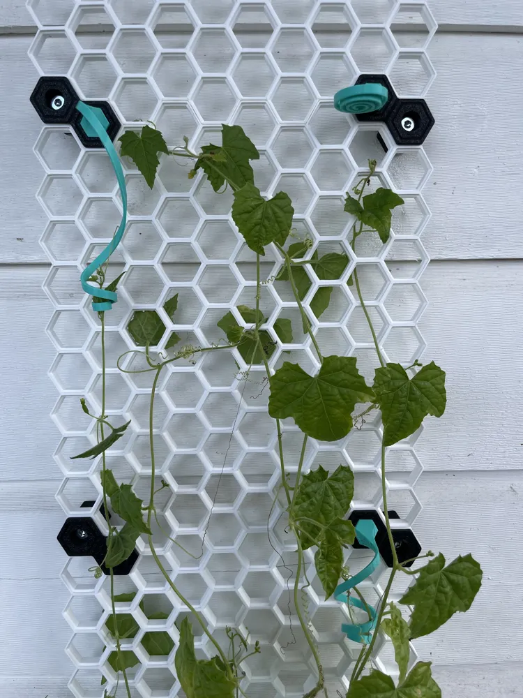 Flexible Plant Hook by Makefy - MakerWorld