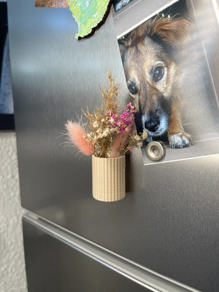 Refrigerator Magnet Container for Toothpicks/Flowers - Free 3D Print ...